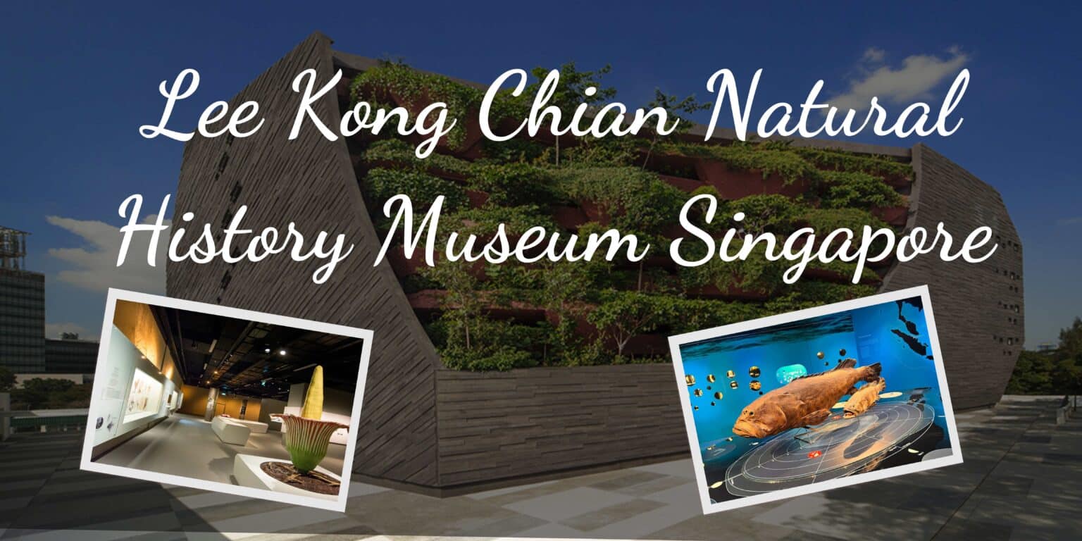 Lee Kong Chian Natural History Museum Singapore: Khám phá di sản thiên ...